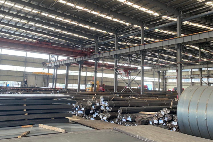 China wang wang wang company profile